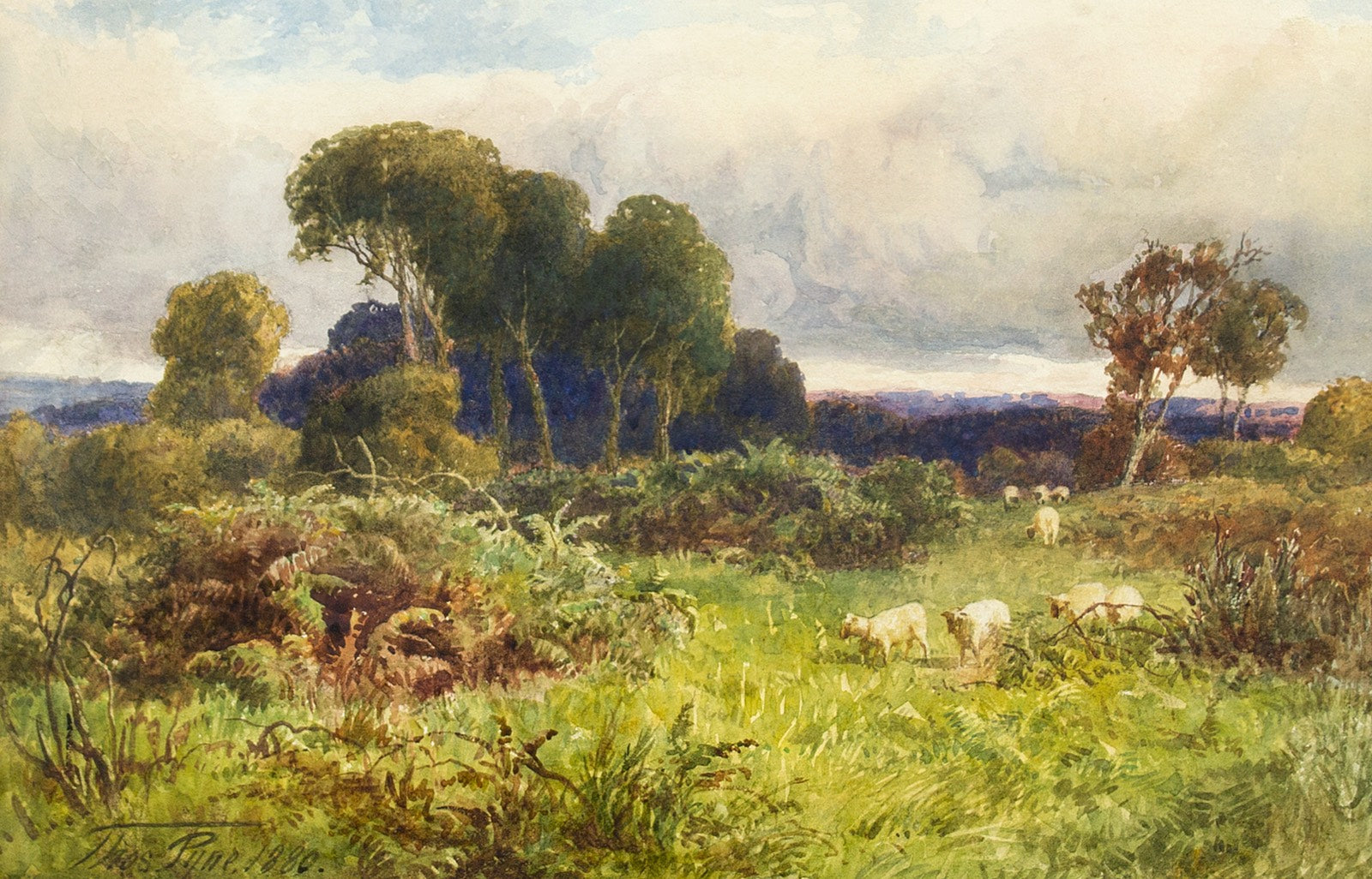 Pyne, Thomas (1843-1935)