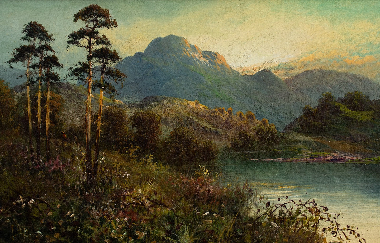 Hider, Frank (1861-1933)